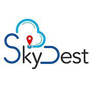 JOB HUNTING STRATEGIES WEBINAR | Skydest